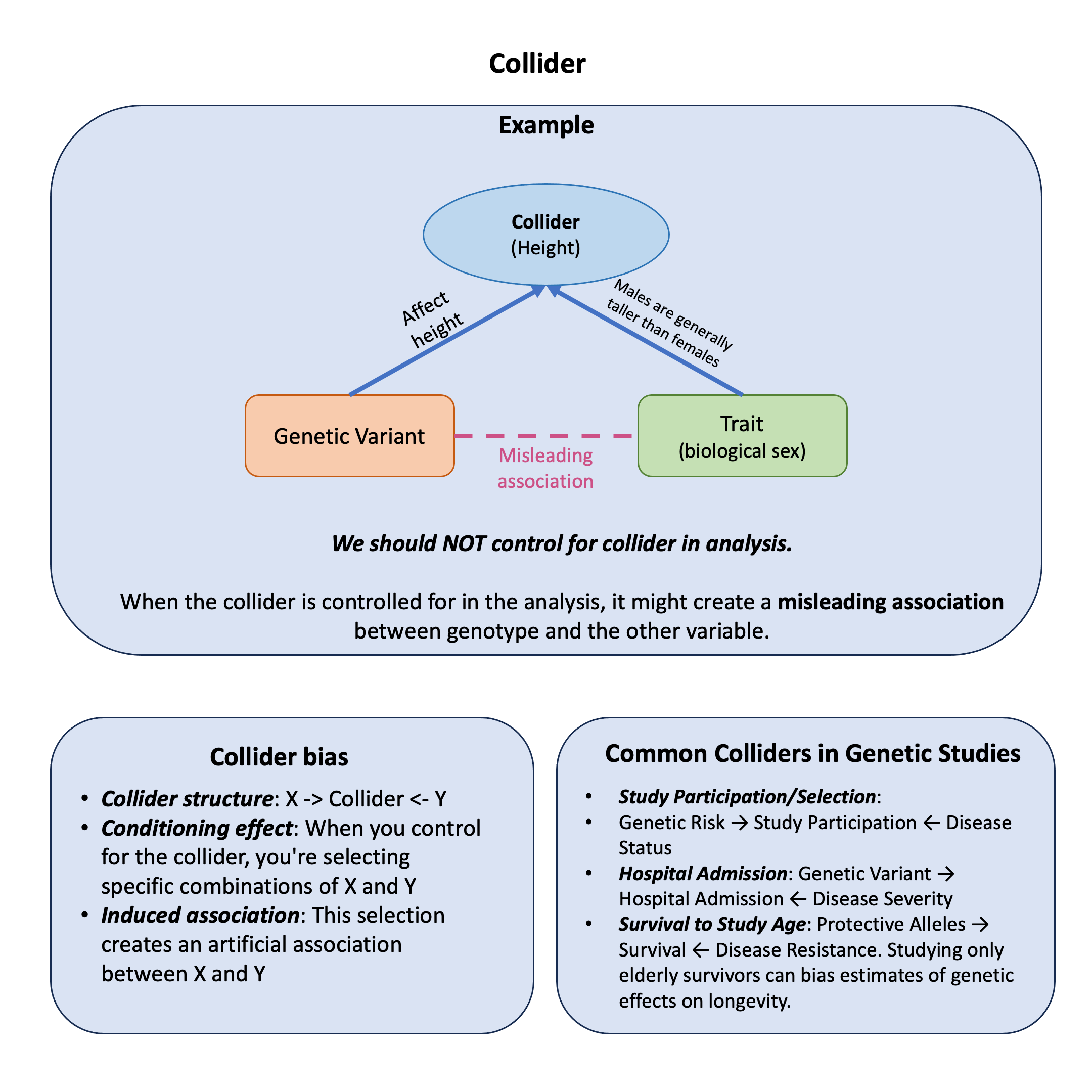 Collider — Statistical backgrounds for gene mapping
