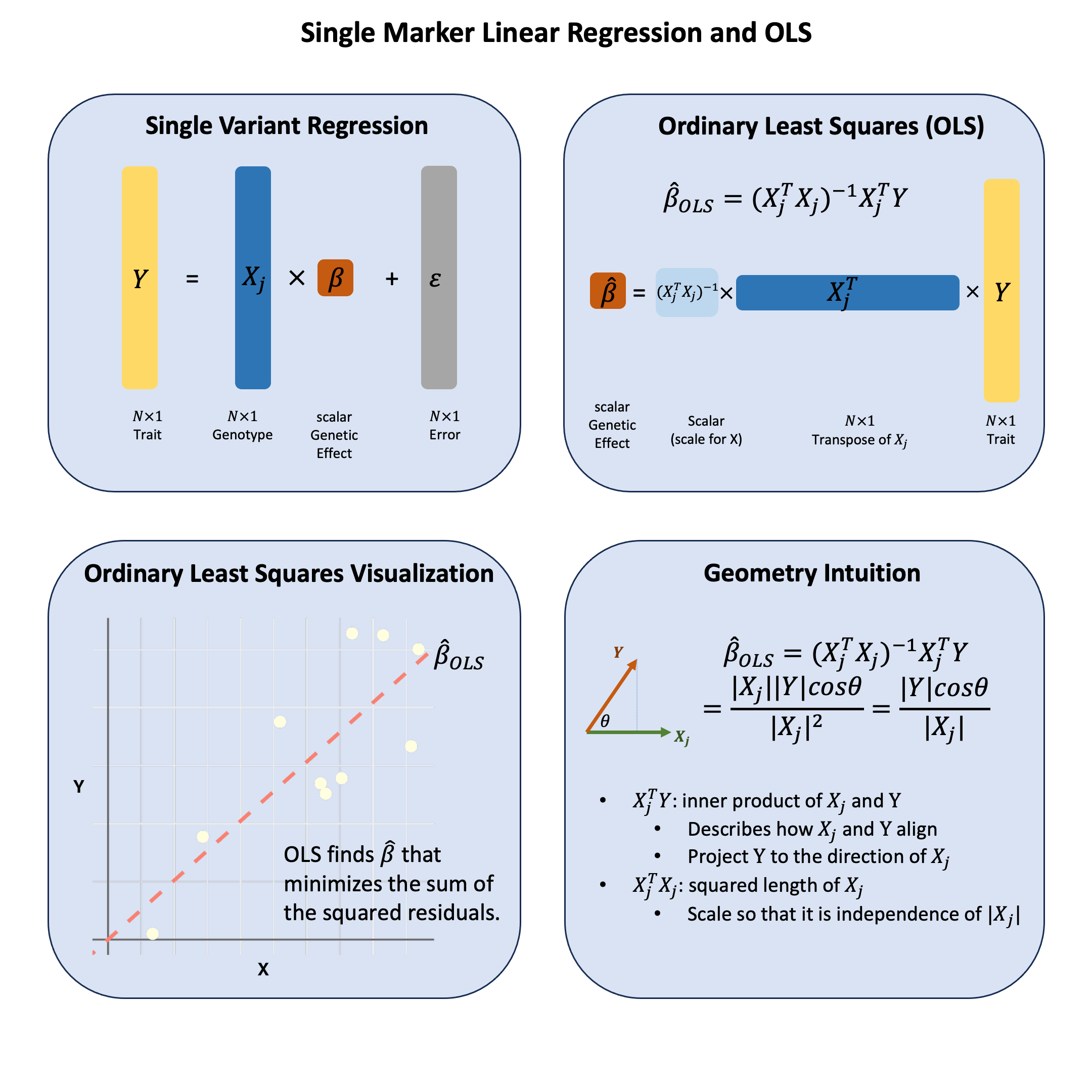 Ordinary Least Squares — Statistical backgrounds for gene mapping